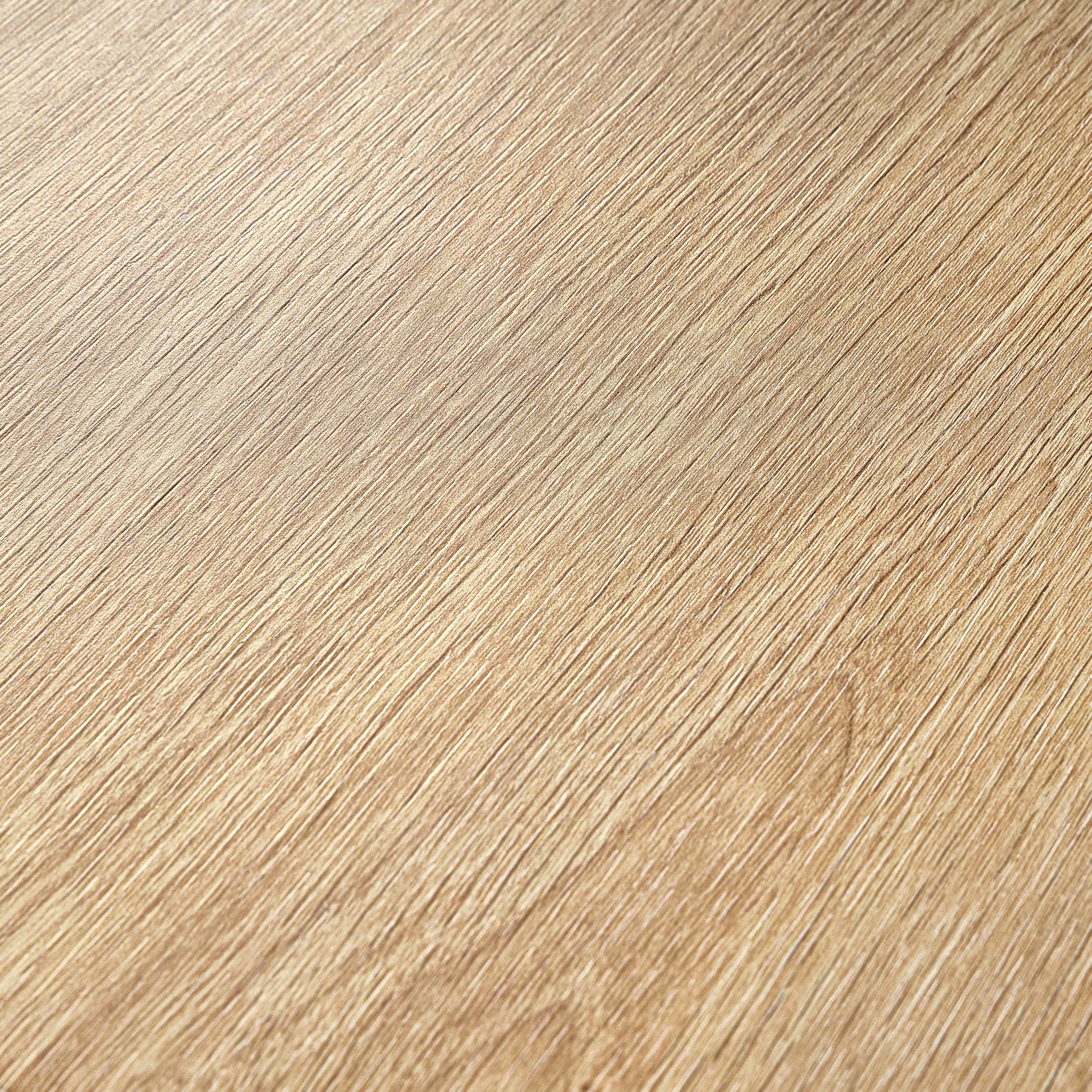 Ark Lite Standing Desk | Eureka Ergonomic