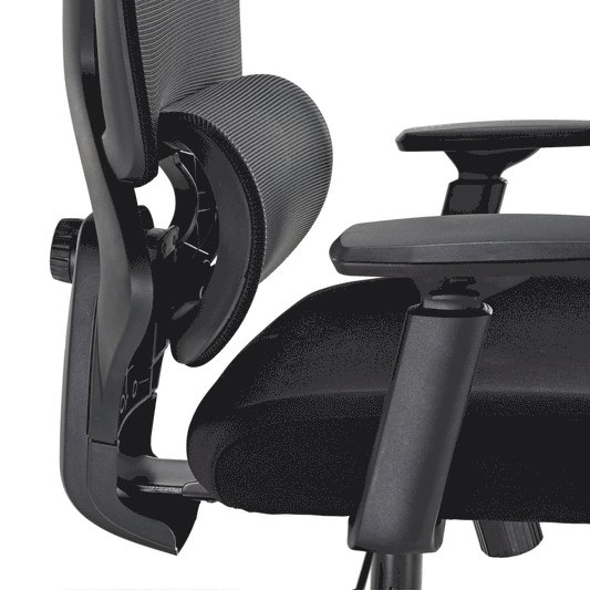 Ergonomic Office Chairs | Ergonomic Desk Chairs | Eureka Ergonomic